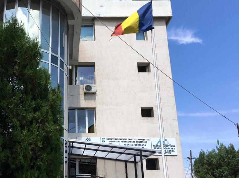 12 cursuri gratuite pentru persoanele aflate în căutarea unui loc de ...